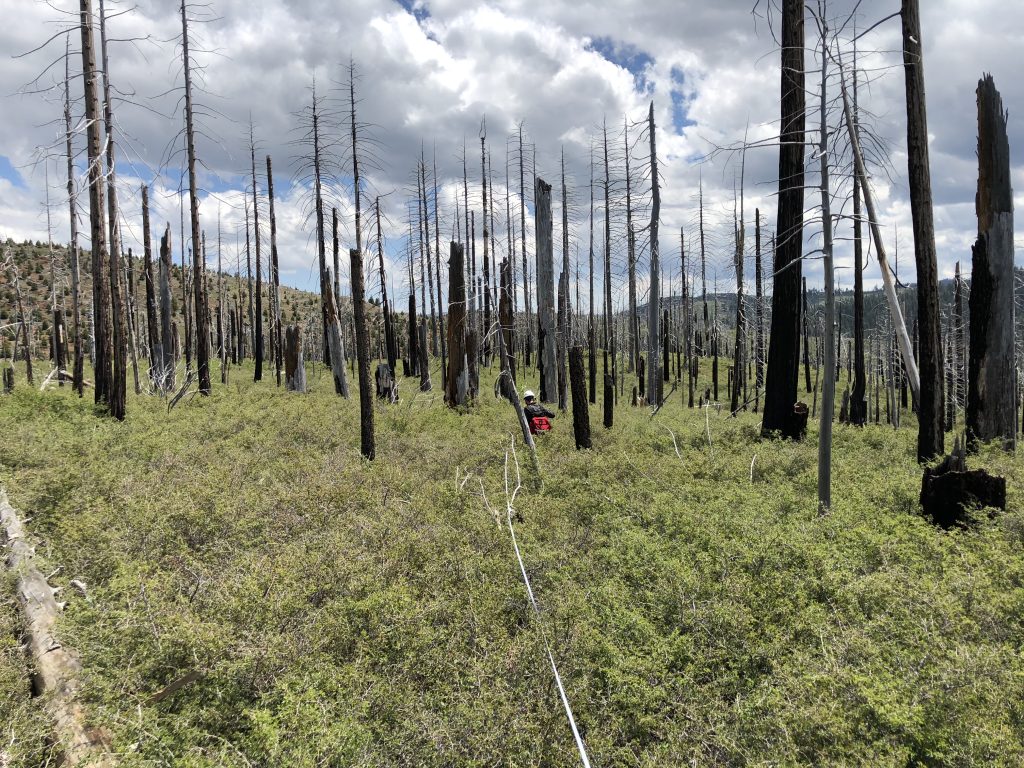 Jacob Levine – Quantitative global change ecology